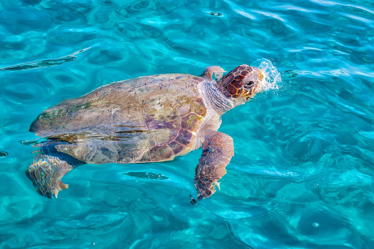 Must visit Zante attractions | Friendship Travel